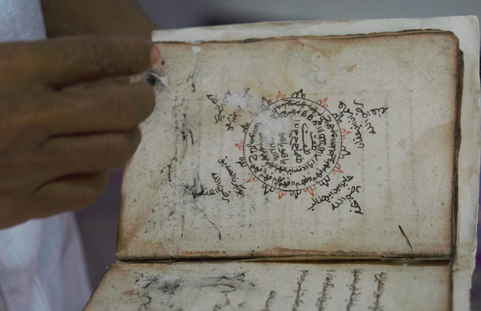 ‘Curious About Cannabis’ Landrace Interview on Youtube – The Real Seed ...