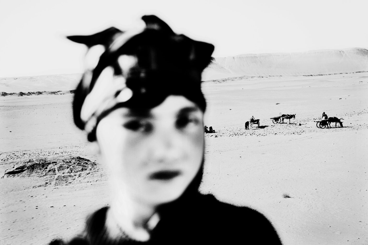 The Real Seed Company - Landraces