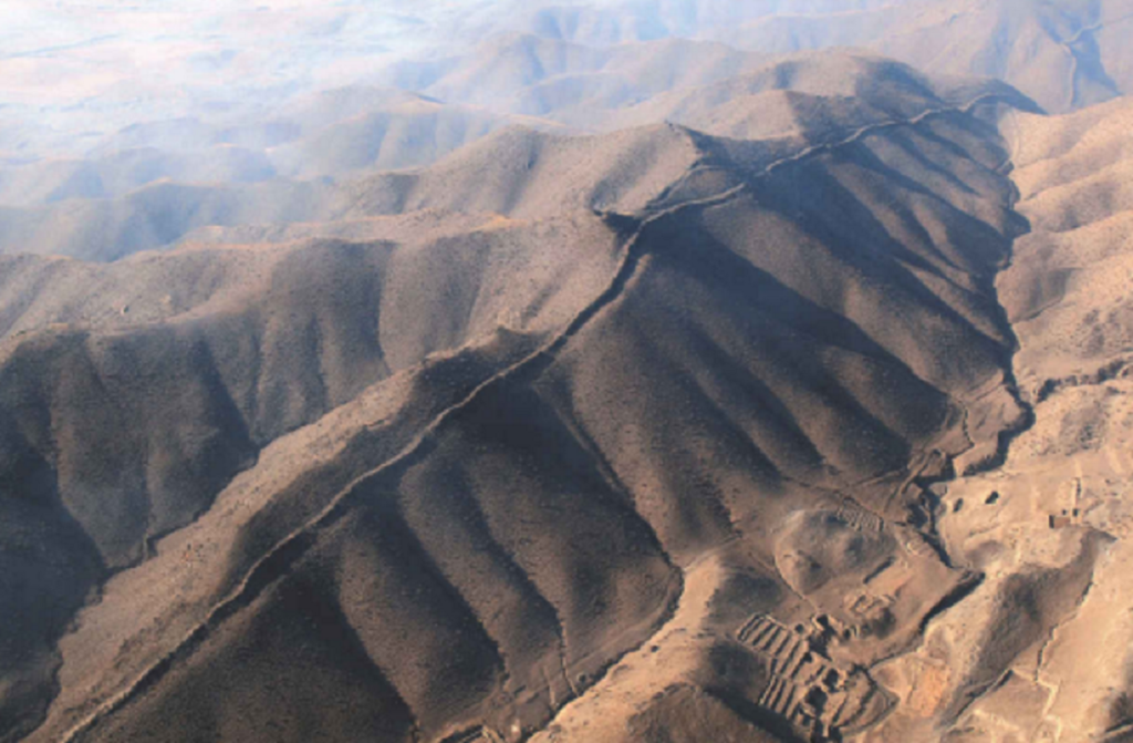 The Real Seed Company - Real Knowledge | Real Landrace Cannabis Seeds