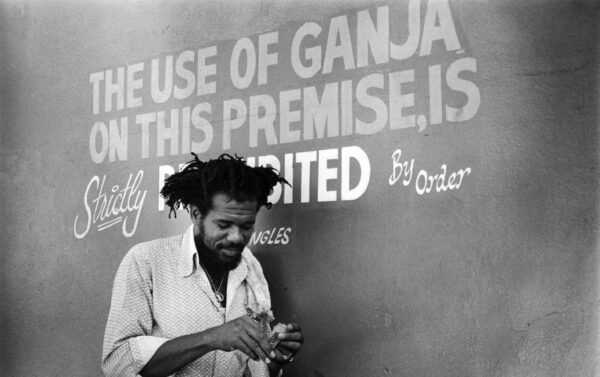 The Real Seed Company - Real Knowledge | Real Landrace Cannabis Seeds