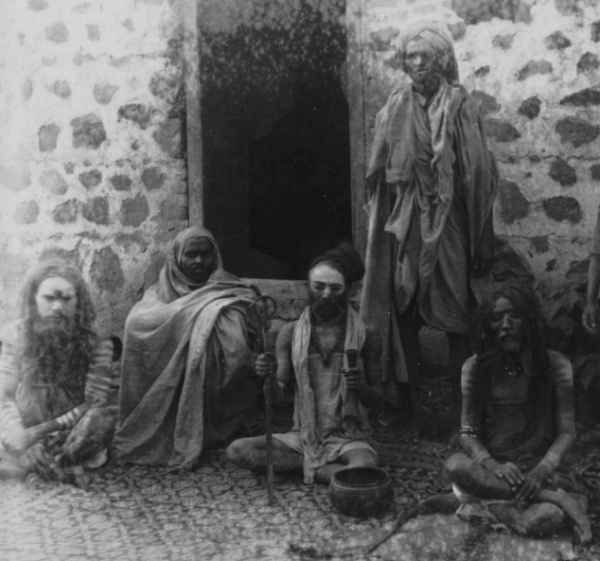 The Real Seed Company - Real Knowledge | Real Landrace Cannabis Seeds