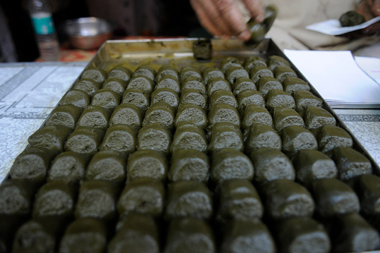 Shiva and Cannabis on Mahashivratri – The Real Seed Company