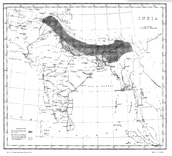 The Real Seed Company - Real Knowledge | Cannabis Landraces