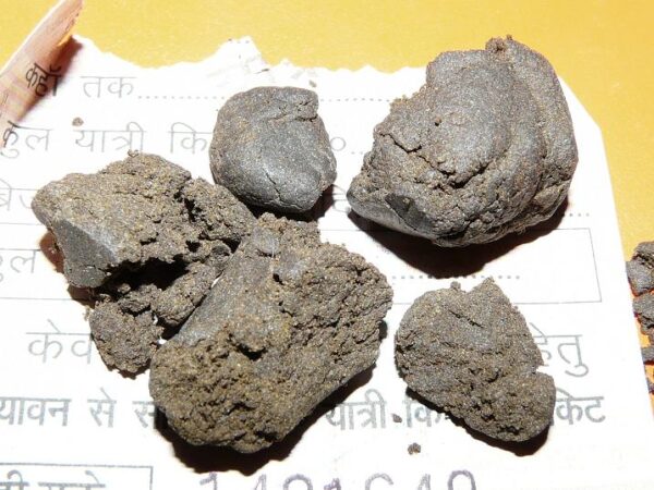 Kashmiri Charas – The Real Seed Company