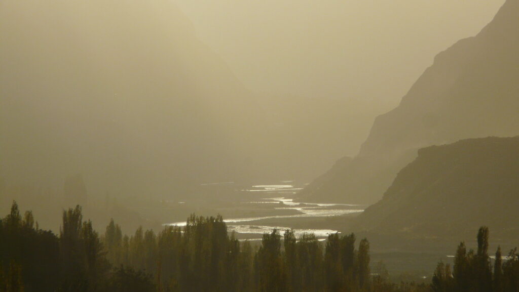 Blog – The Real Seed Company